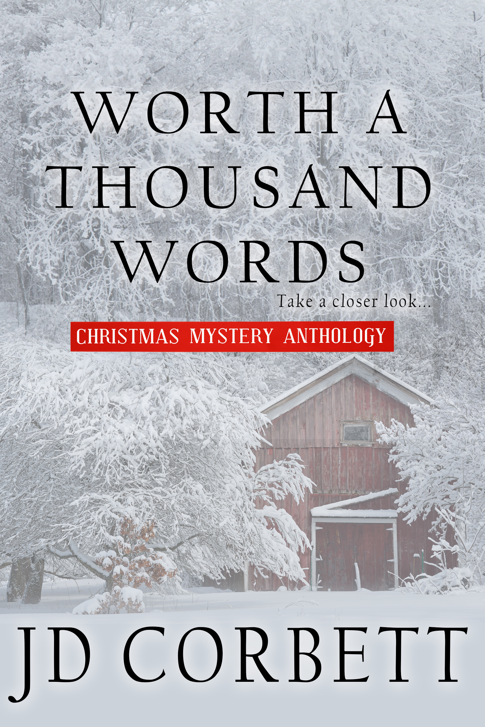 Worth a Thousand Words by Jen Drapp | Goodreads