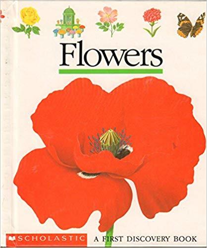 Flowers (First Discovery Books) by René Mettler | Goodreads