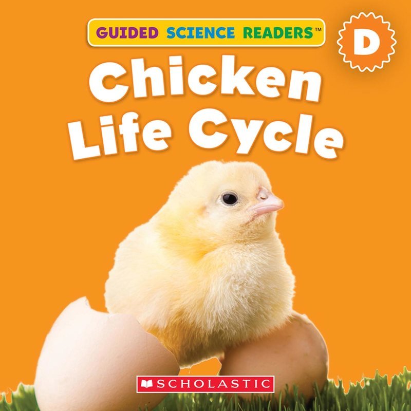 Chicken Life Cycle by Lydia Carlin | Goodreads