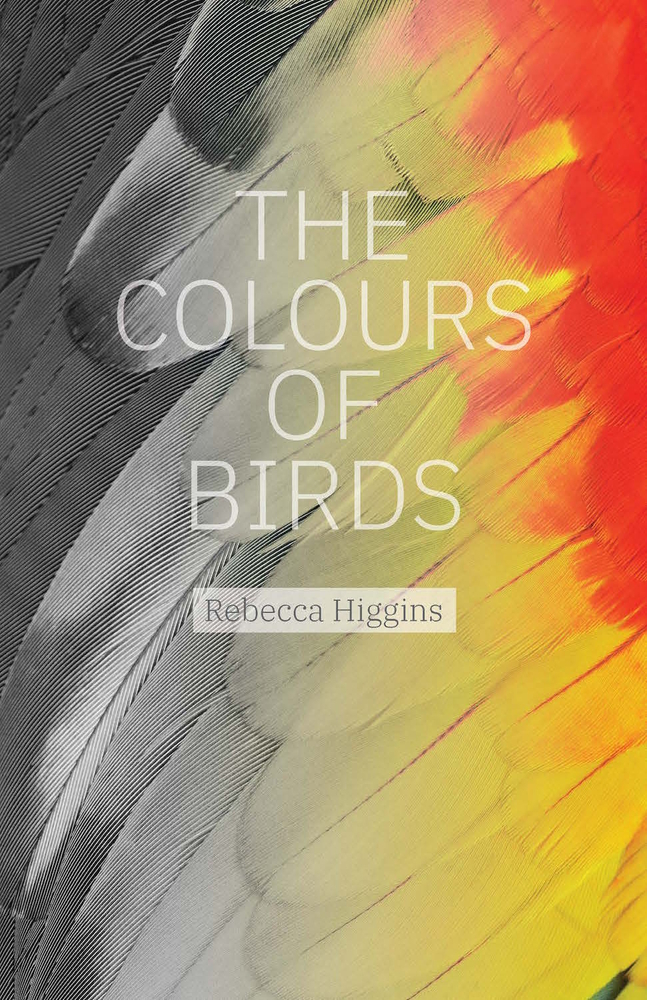 The Colours of Birds by Rebecca Higgins | Goodreads
