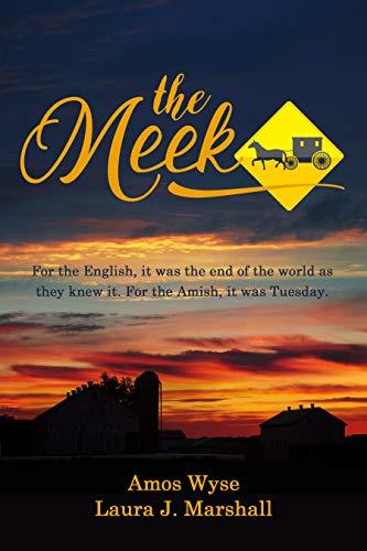The Meek by Amos Wyse | Goodreads