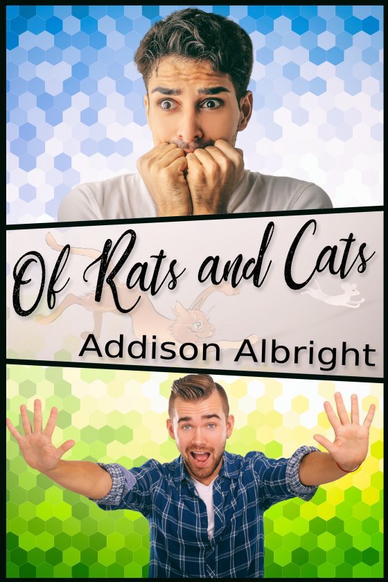 Of Rats and Cats by Addison Albright | Goodreads