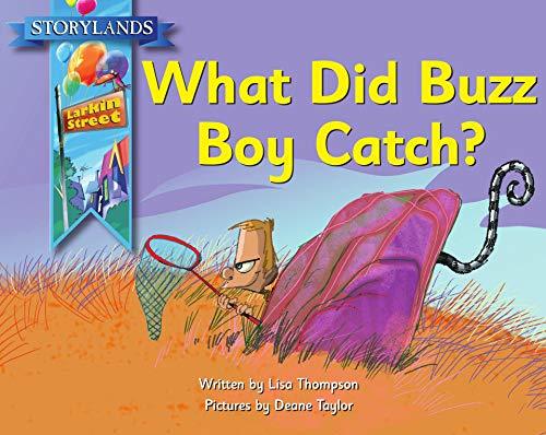 What Did Buzz Boy Catch?: A Storylands, Larkin Street Book by Lisa ...