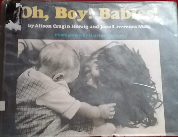 Oh Boy, Babies by Alison Cragin Herzig | Goodreads