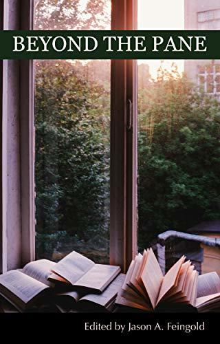 Beyond the Pane by Jason A. Feingold | Goodreads