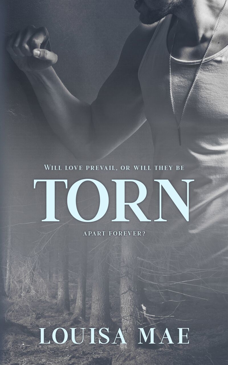 Torn by Louisa Mae | Goodreads