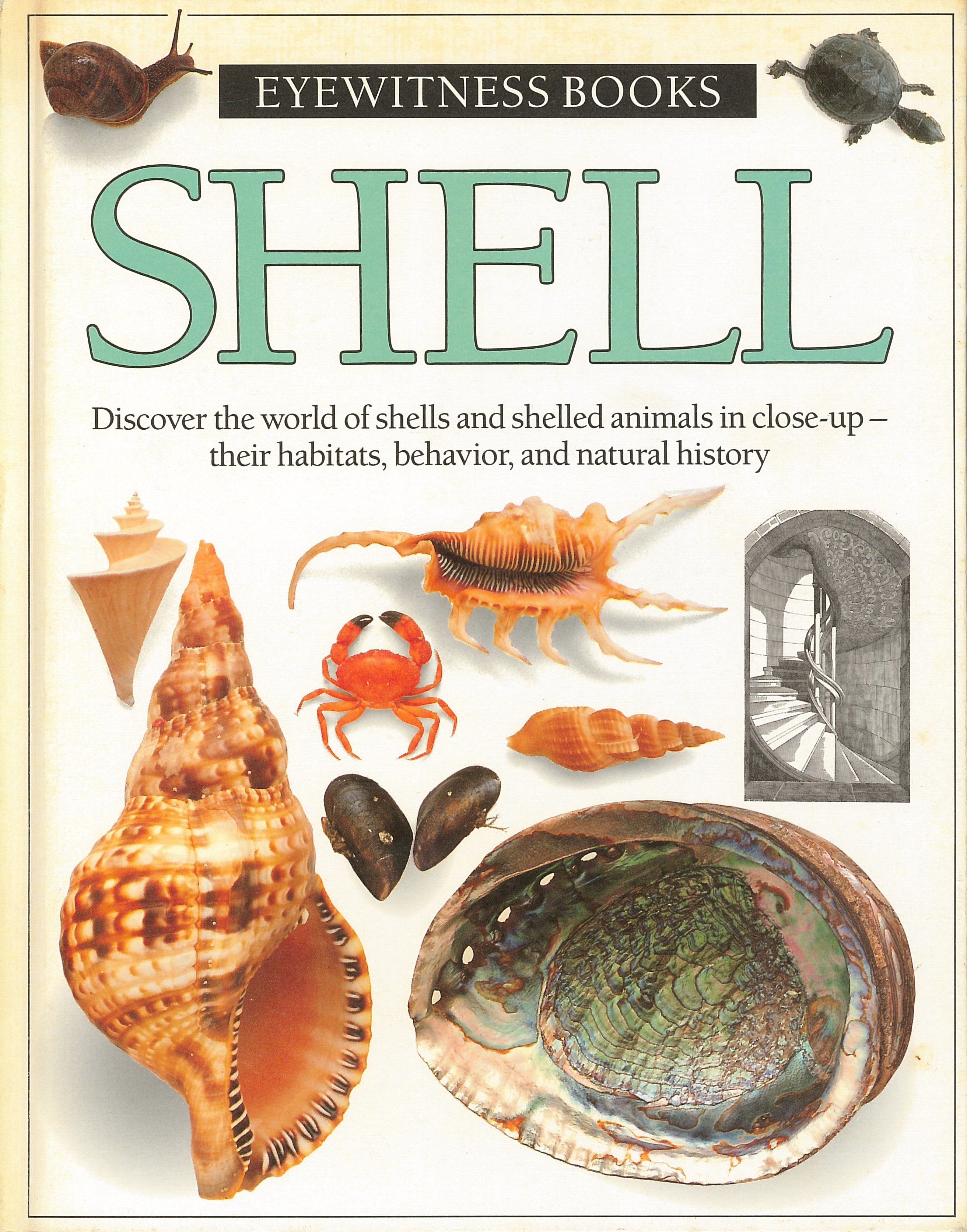 Shell by Alex Arthur | Goodreads