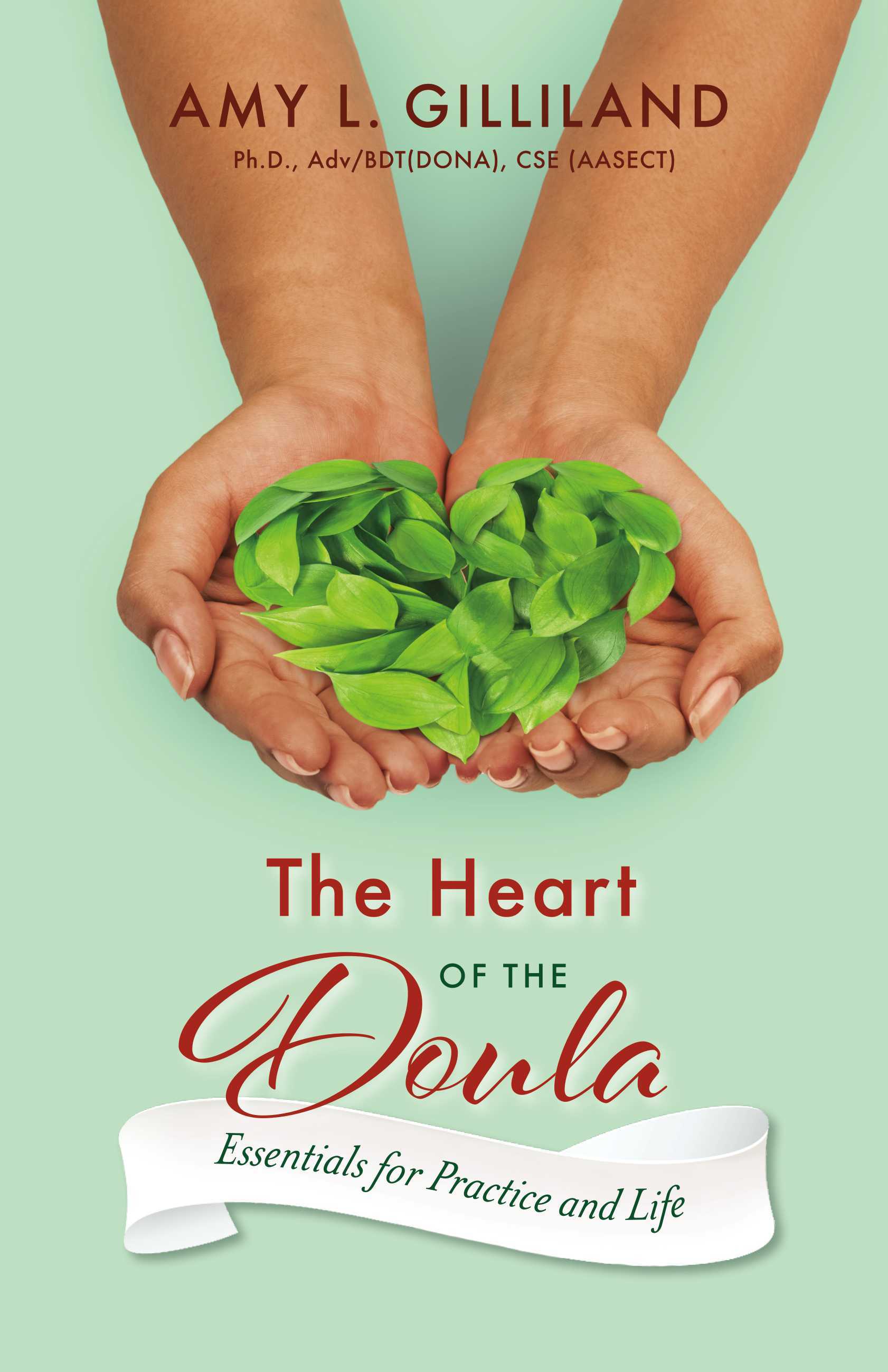 The Heart of the Doula: Essentials for Practice and Life by Amy L ...
