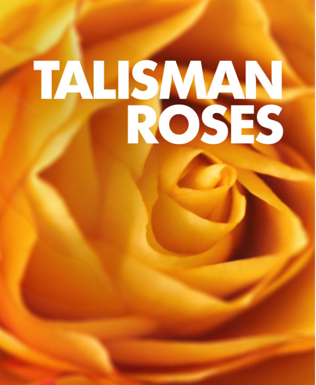 Talisman Roses by Tennessee Williams | Goodreads