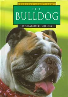 The Bulldog (Learning About Dogs) by Charlotte Wilcox | Goodreads