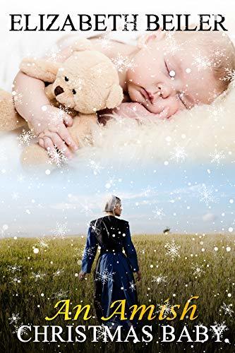 An Amish Christmas Baby by Elizabeth Beiler | Goodreads