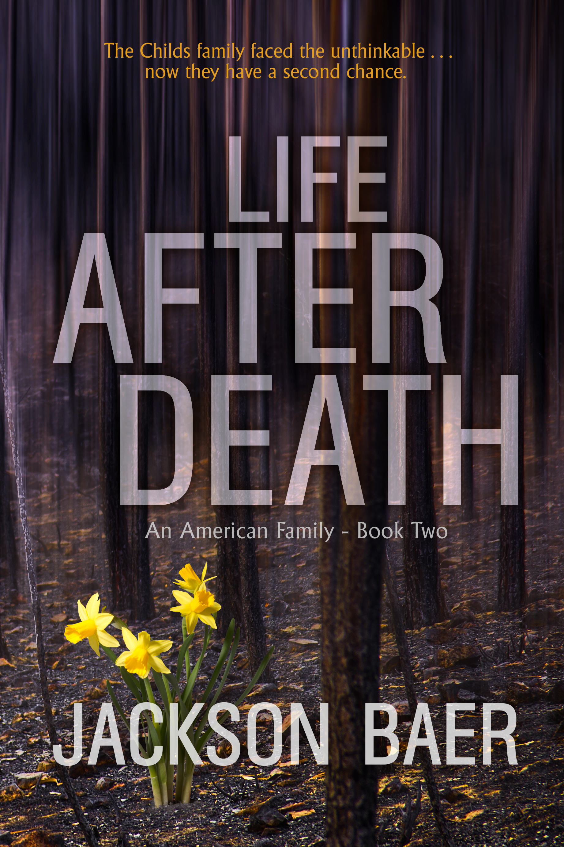 Life after Death (An American Family Book 2) by Jackson Paul Baer ...