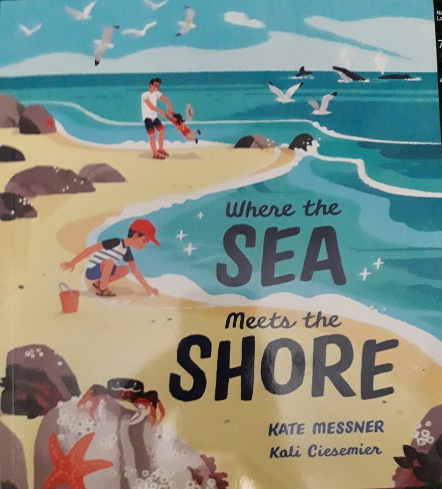 Where the Sea Meets the Shore by Kate Messner, Kali Ciesemier | Goodreads