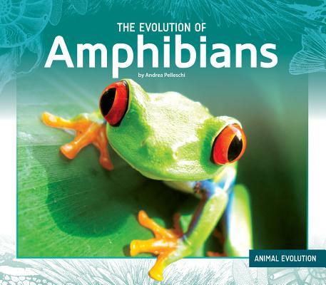 The Evolution of Amphibians (Animal Evolution) by Andrea Pelleschi ...