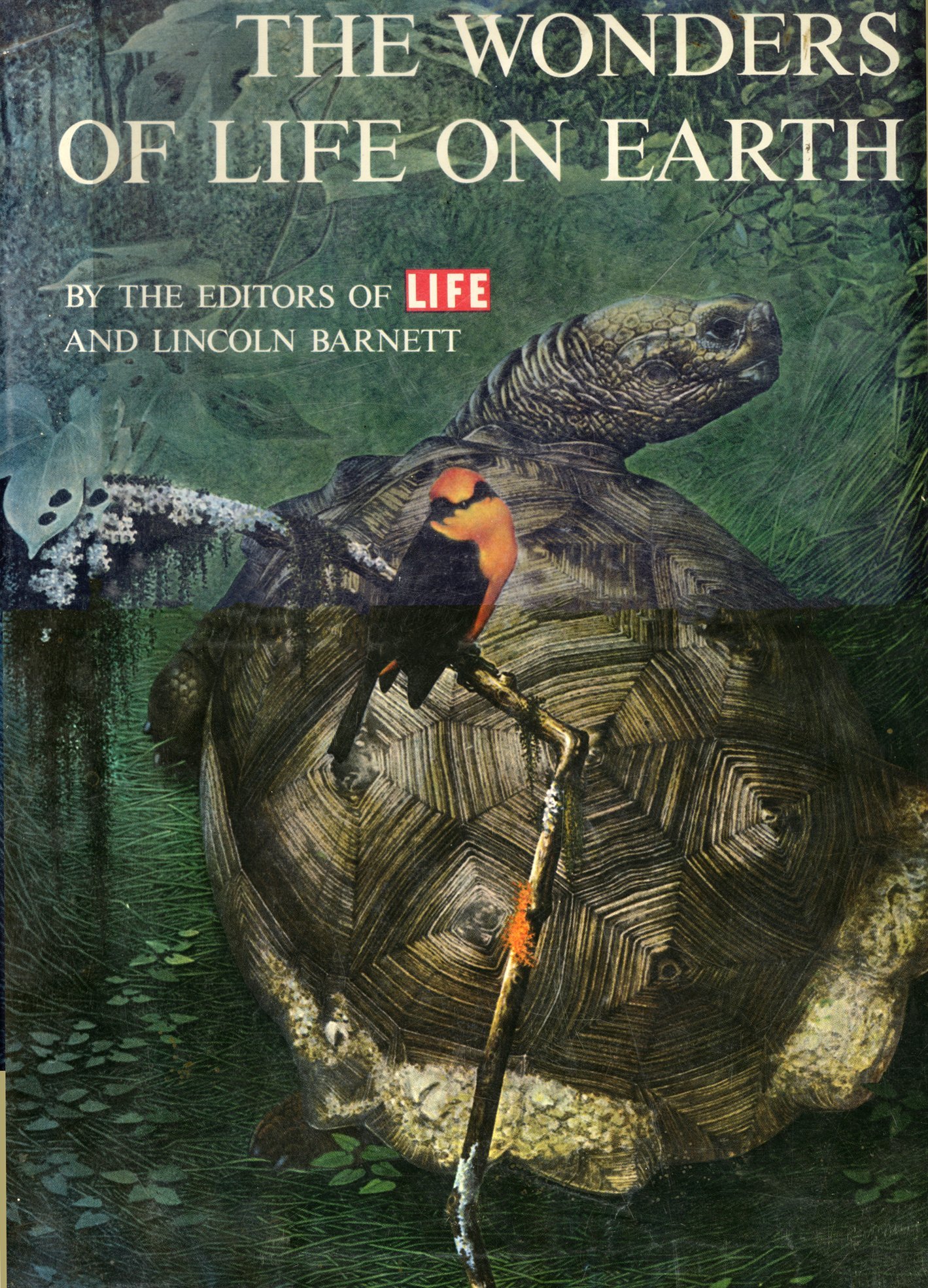 The Wonders of Life on Earth by LIFE | Goodreads