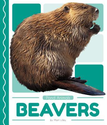 Beavers (Pond Animals) by Matt Lilley | Goodreads