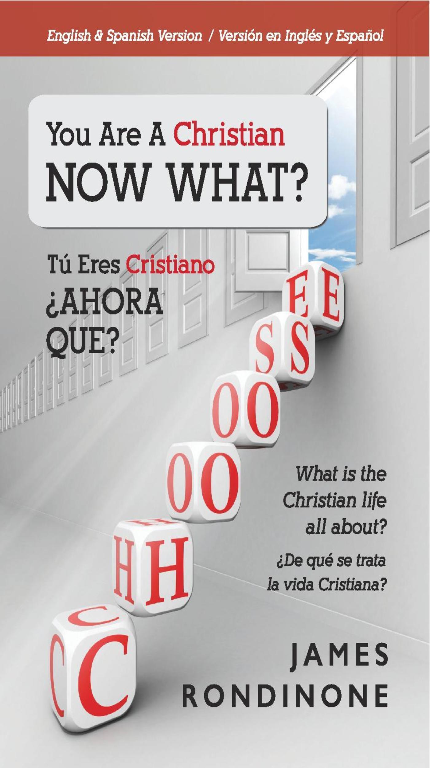 You Are A Christian. Now What? by James Rondinone | Goodreads