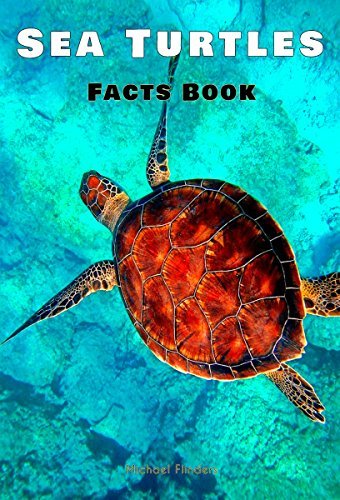 Sea Turtles: Facts Book by Michael Flinders | Goodreads