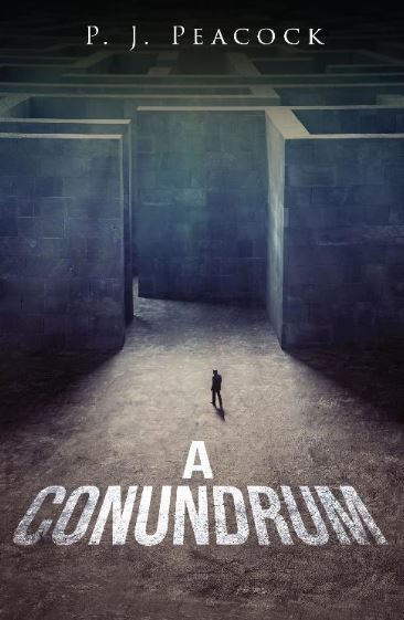 A Conundrum (A Conundrum #1) by P.J. Peacock | Goodreads