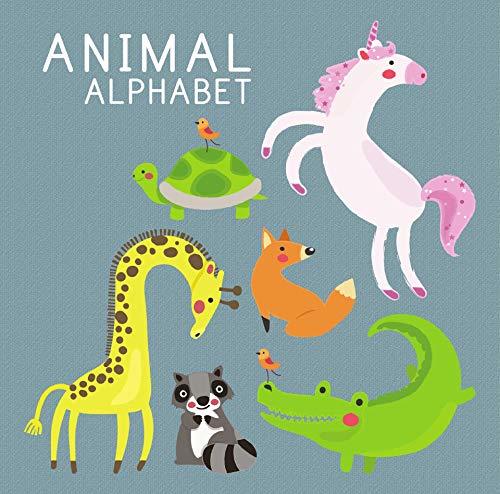Animal Alphabet: A Colorful Alphabet Learning Book For Kids by ...