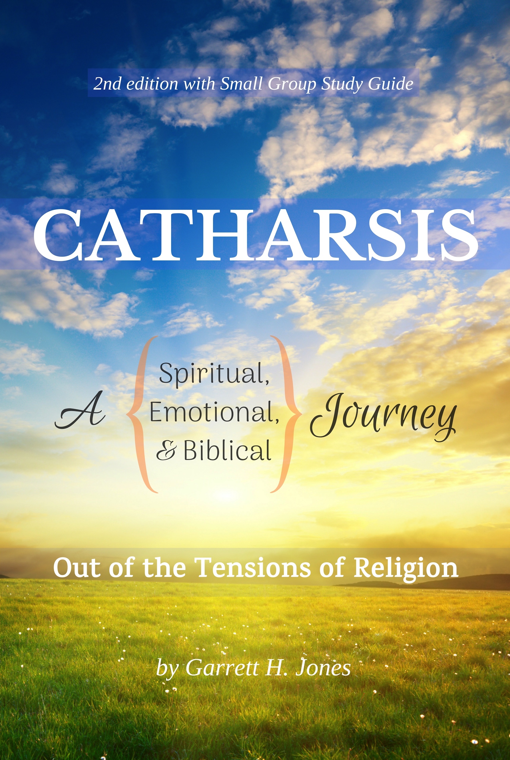 Catharsis: A Spiritual, Emotional, and Biblical Journey Out of the ...