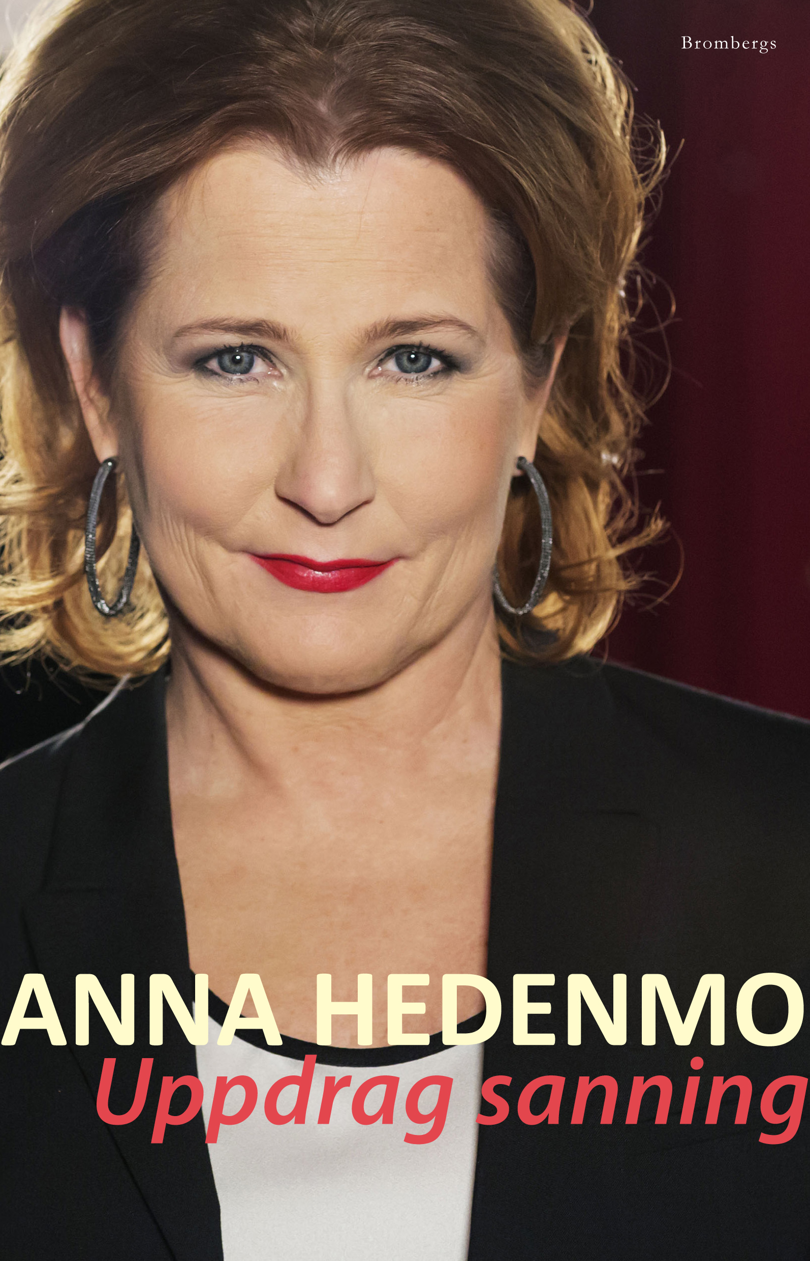 Uppdrag sanning : möten och tankar by Anna Hedenmo | Goodreads