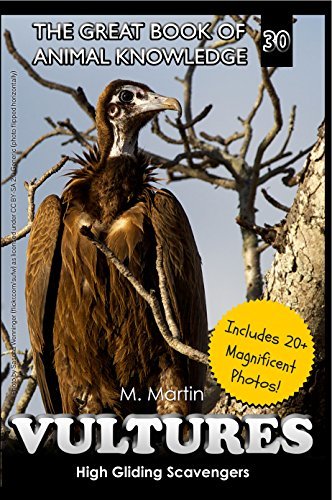 Vultures: High Gliding Scavengers (The Great Book of Animal Knowledge ...