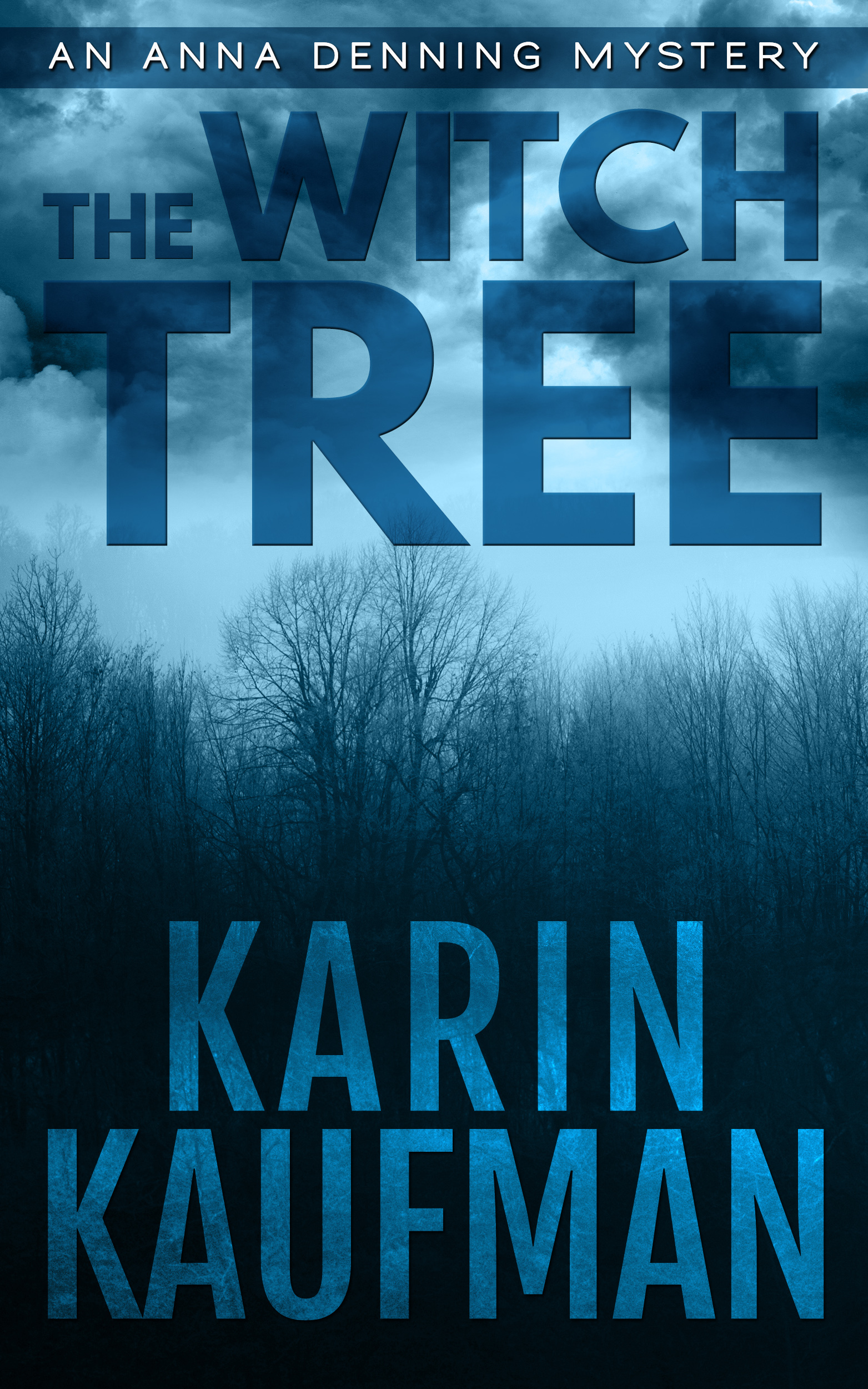 The Witch Tree (Anna Denning Mystery, #1) by Karin Kaufman | Goodreads