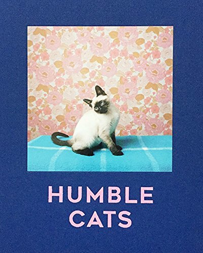 Humble Cats: Feline Photography in Art by Jon Feinstein | Goodreads