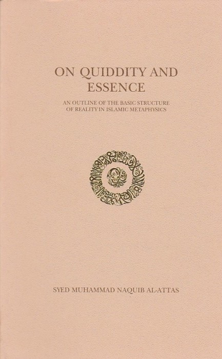 On Quiddity and Essence: An Outline of the Basic Structure of Reality ...