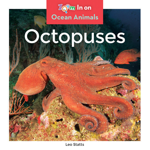Octopuses (Ocean Animals) by Leo Statts | Goodreads