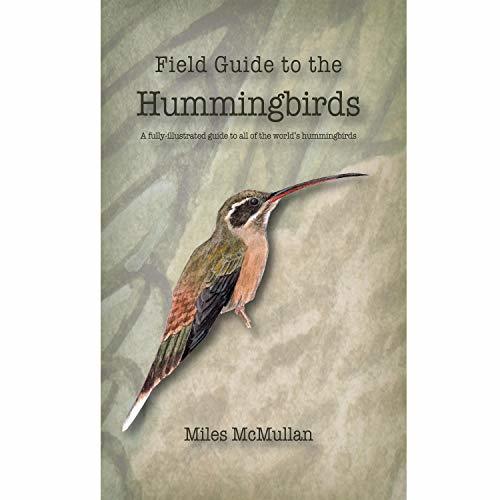 Field Guide to the Hummingbirds by Miles McMullan | Goodreads
