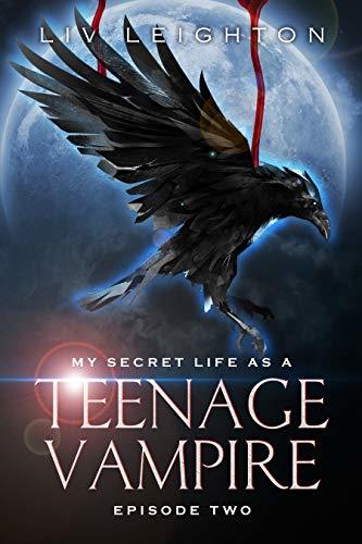Witch's Stone - A Young Adult Magic & Witch Tale by Liv Leighton ...
