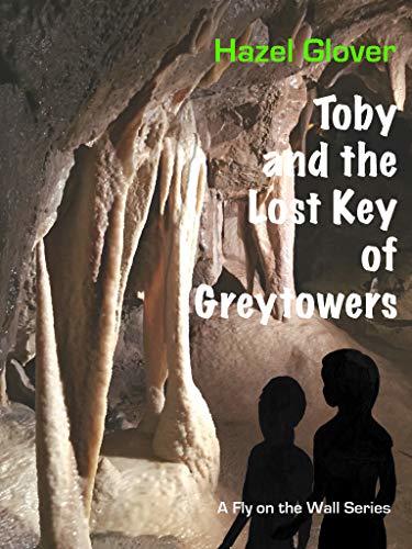 Toby and the Lost Key of Greytowers: A Fly on the Wall Series by Hazel ...