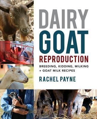 Dairy Goat Reproduction: Breeding, Birthing, and Milking + Goat Milk ...