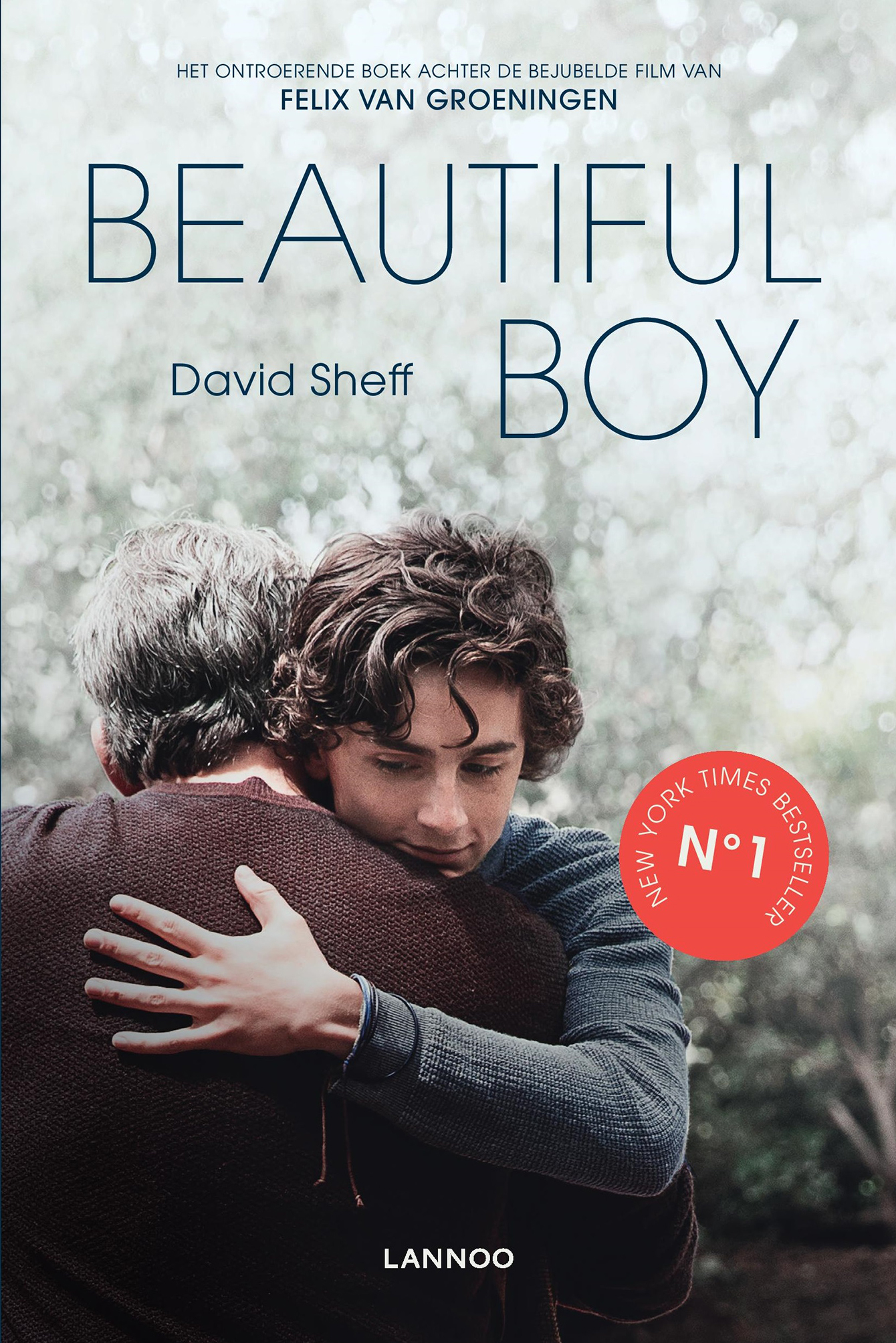 Beautiful Boy by David Sheff | Goodreads