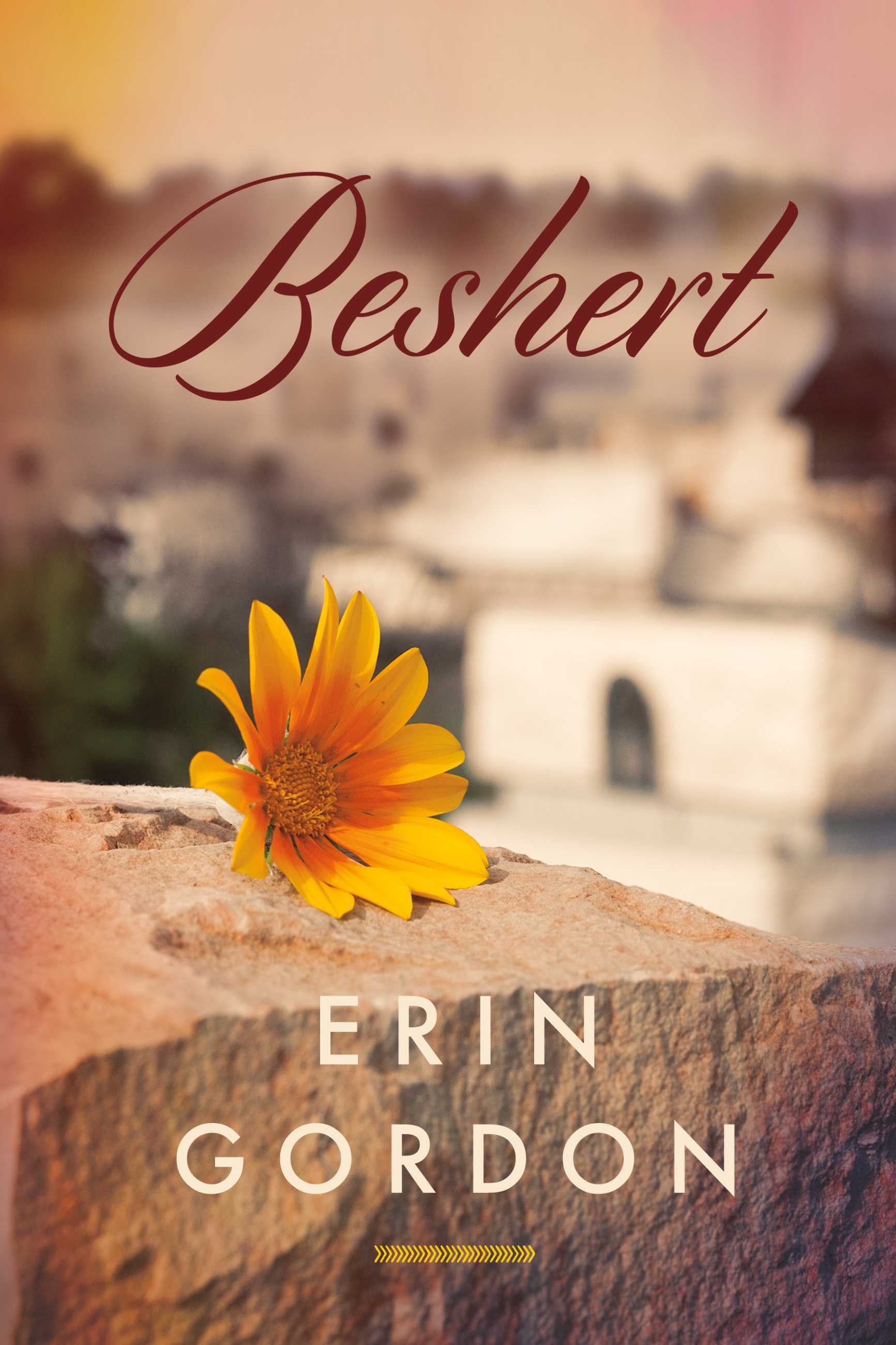 Beshert by Erin Gordon | Goodreads