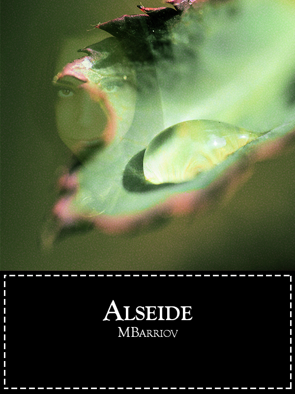 Alseide by Marc Barrio | Goodreads