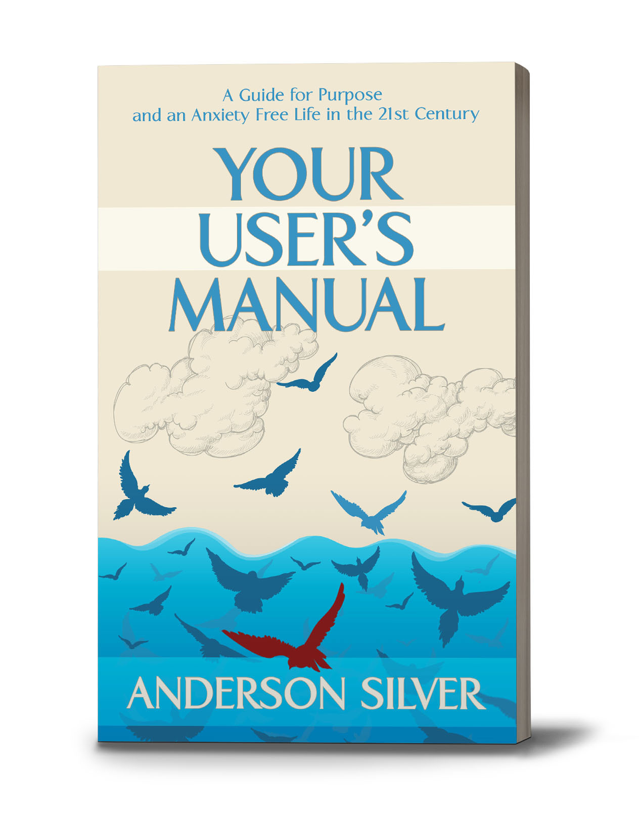 Your User's Manual: A Guide for Purpose and an Anxiety Free Life in the ...