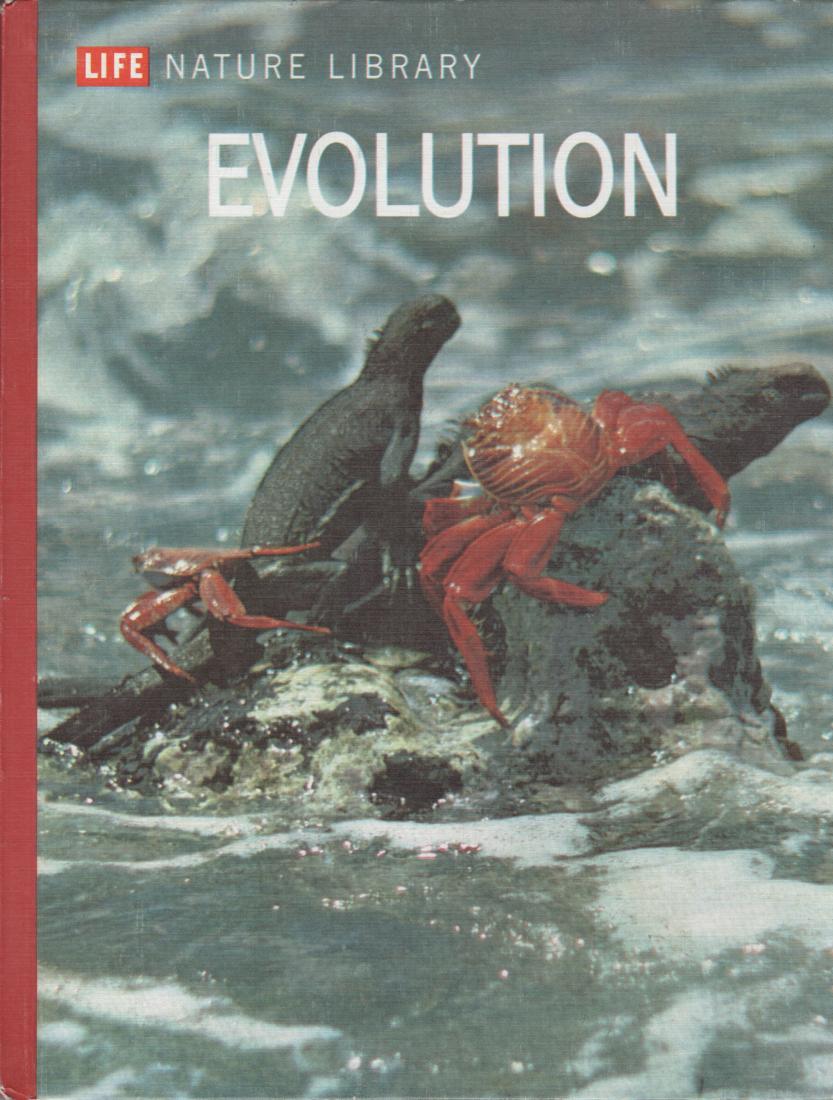 Evolution by Ruth E. Moore | Goodreads