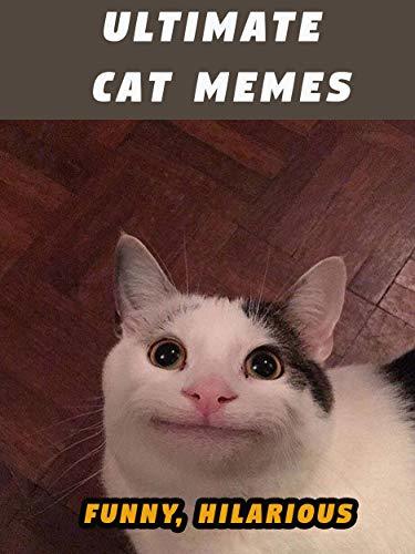 High Cat Meme