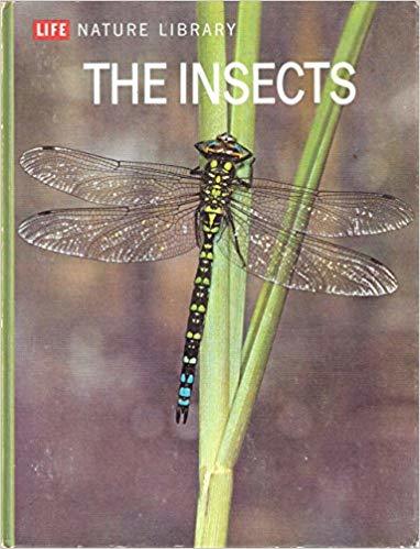 The Insects by Peter Farb | Goodreads