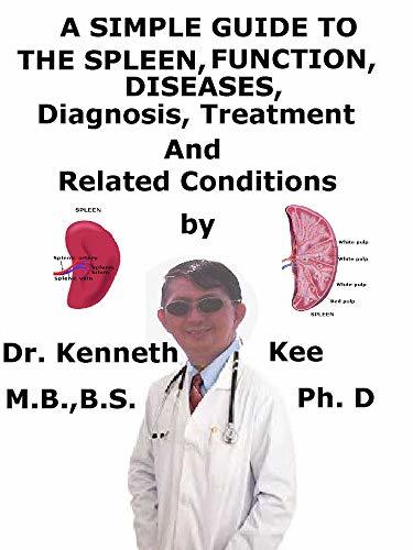 A Simple Guide To The Spleen, Functions, Diseases, Diagnosis, Treatment ...
