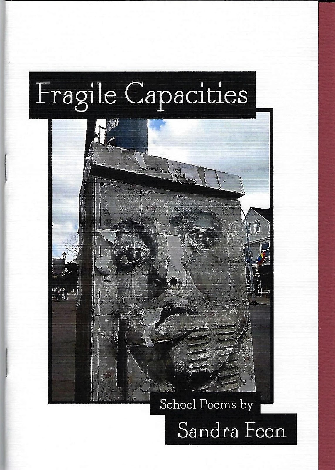 Fragile Capacities: School Poems by Sandra Feen | Goodreads