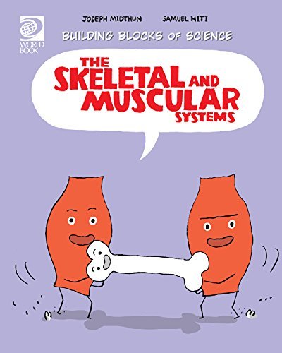 Skeletal and Muscular Systems by Joseph Midthun | Goodreads