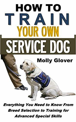How to Train Your Own Service Dog: Everything You Need to Know About ...