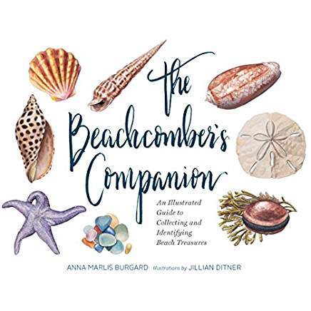 The Beachcomber's Companion: An Illustrated Guide to Collecting and ...