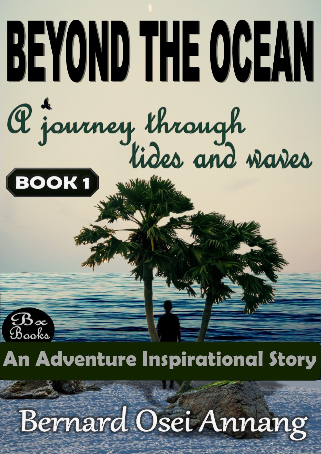 Beyond The Ocean: A Journey Through Tides And Waves by Bernard Osei ...
