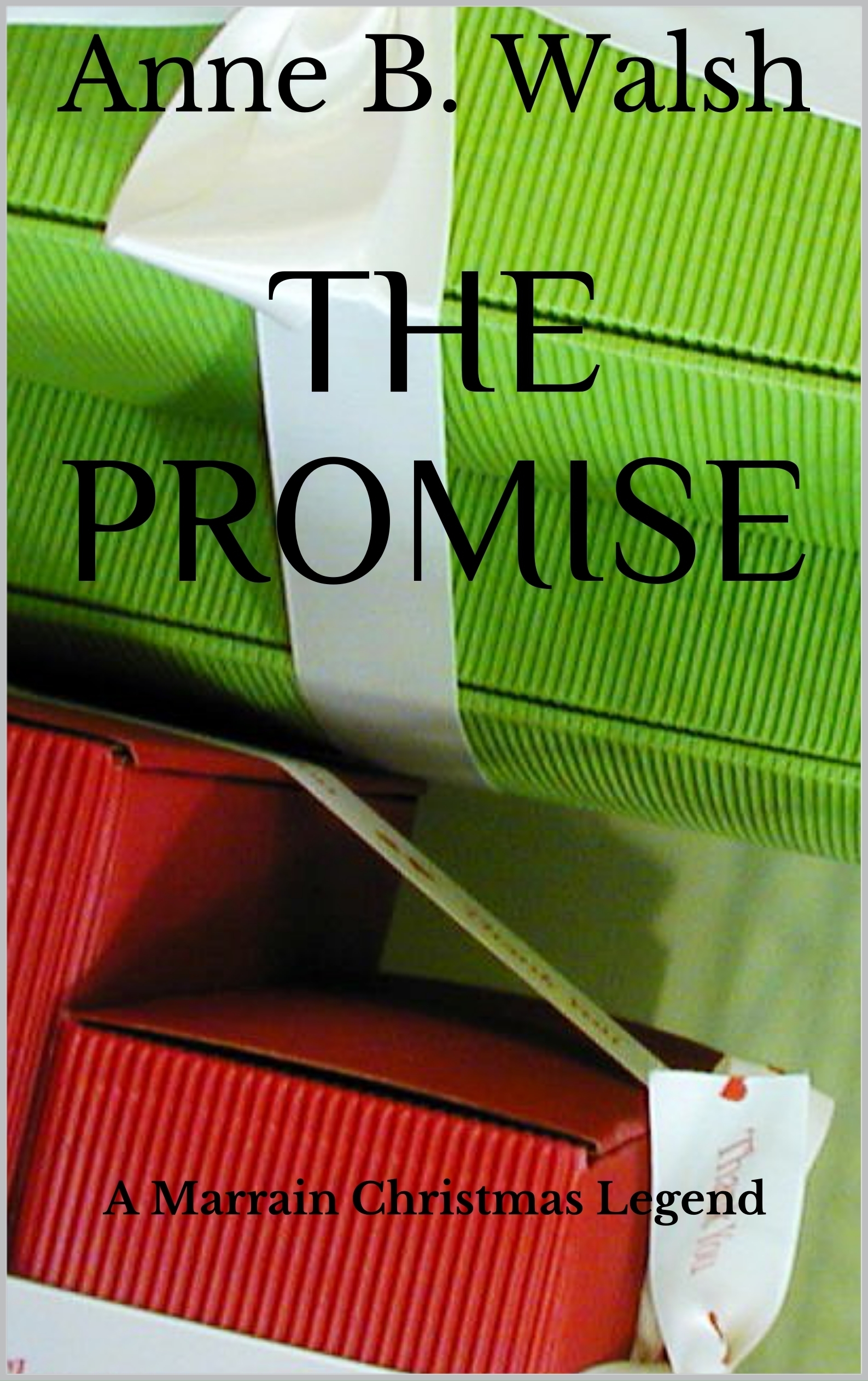 The Promise by Anne B. Walsh | Goodreads
