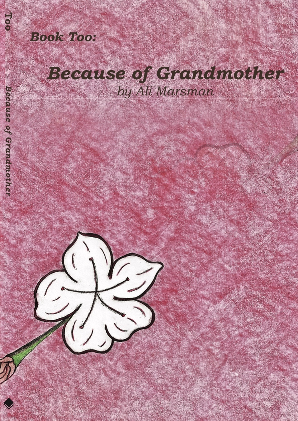 Book Too: Because of Grandmother by Ali Marsman | Goodreads
